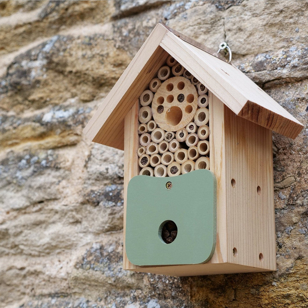 Bee Barn – Stealth Birding Limited
